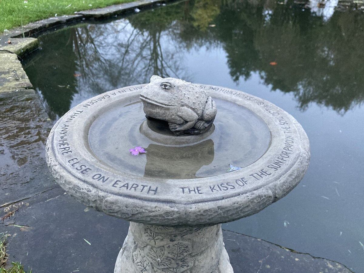 Reconstituted Stone Kiss of the sun Frog Bird Bath / Feeder Ornament ...