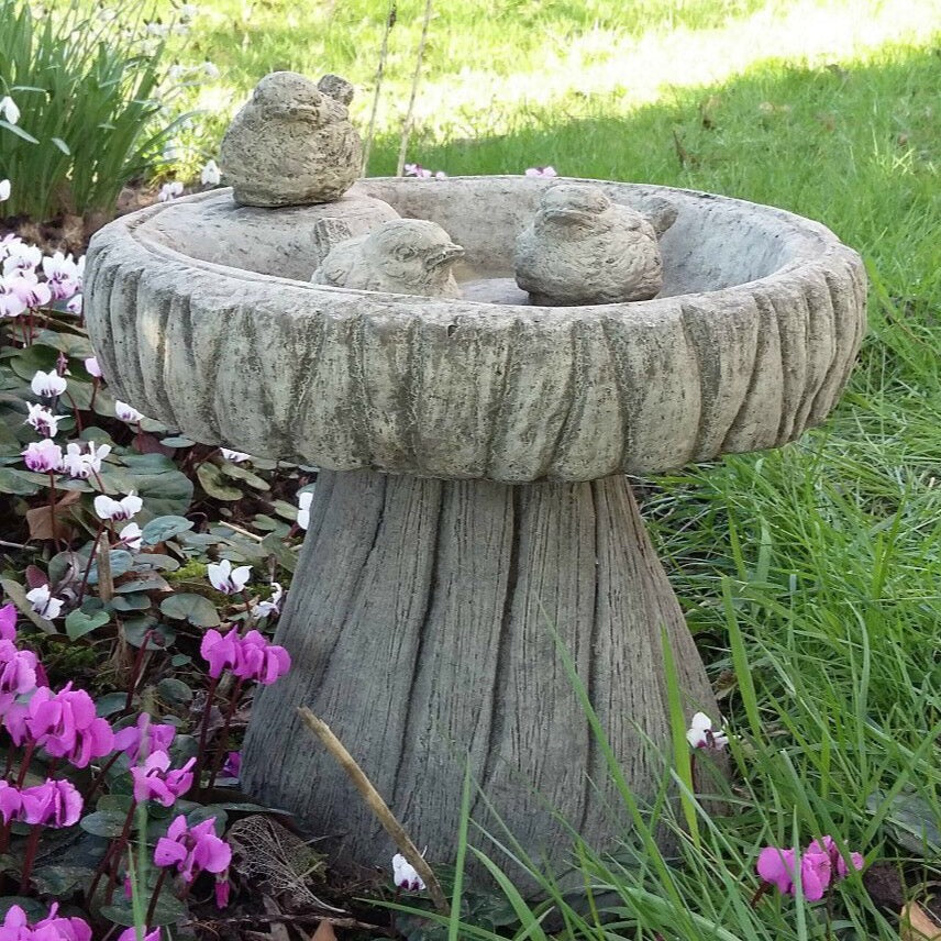 STONE GARDEN LOG BIRD BATH & BIRDS – Ferney Heyes Garden Products