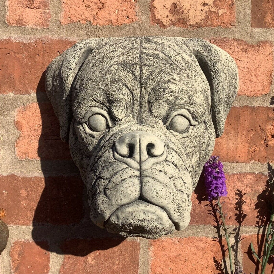 STONE GARDEN BOXER DOG WALL PLAQUE ORNAMENT STATUE – Ferney Heyes ...