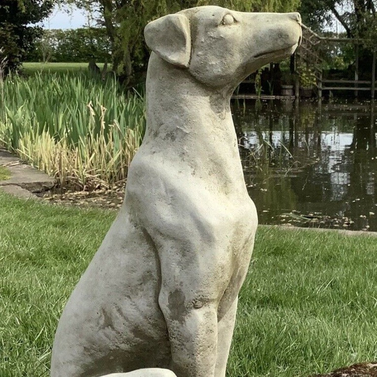STONE GARDEN SITTING POINTER DOG STATUE ORNAMENT – Ferney Heyes Garden ...