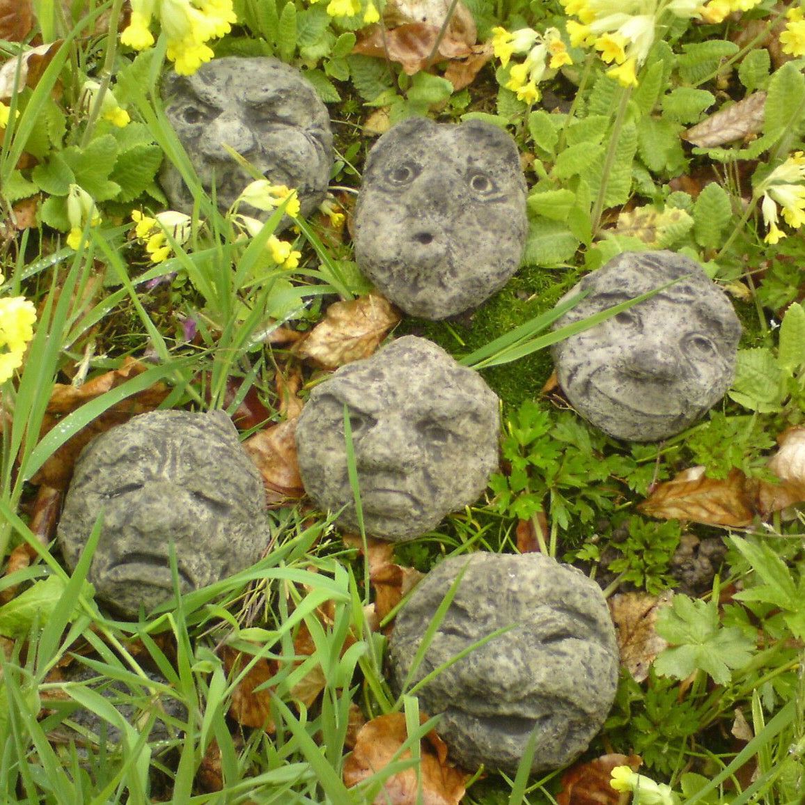 STONE GARDEN SET OF 6 COMEDY ROCK FACE PEBBLES HEADS – Ferney Heyes ...