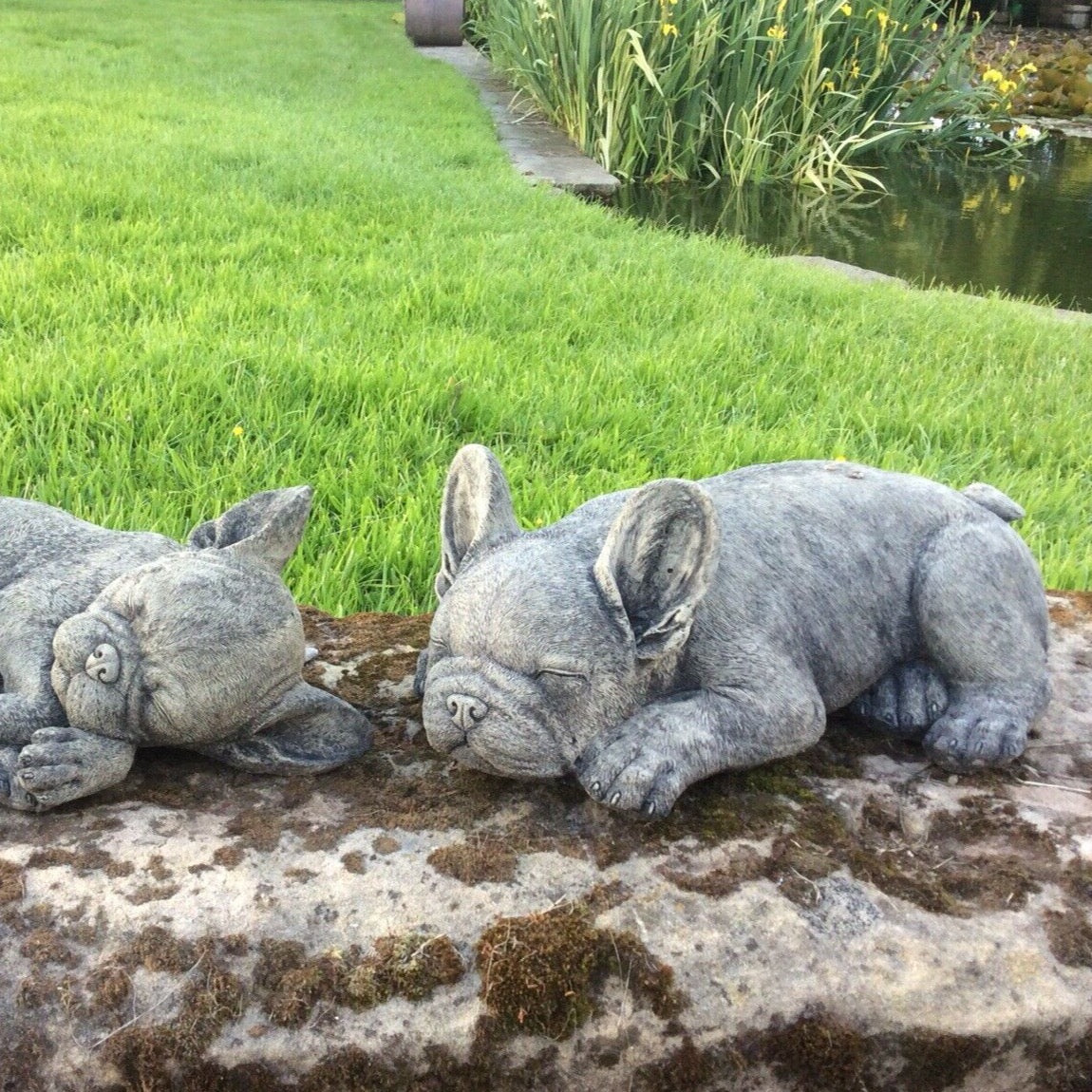 STONE GARDEN PAIR OF LYING FRENCH BULLDOGS ORNAMENTS FRENCHIE STATUES ...