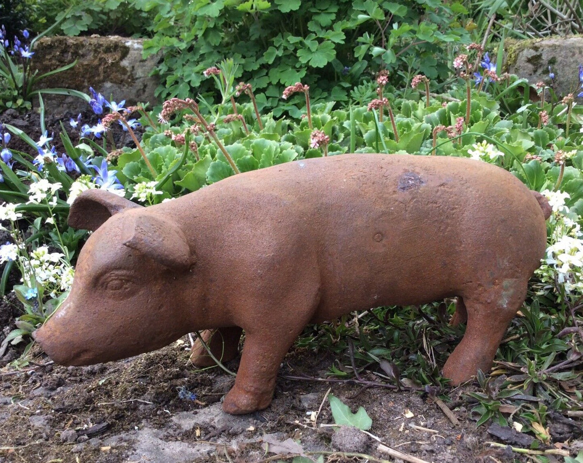 CAST IRON RUSTY GARDEN PIG PIGLET ORNAMENT STATUE – Ferney Heyes Garden ...
