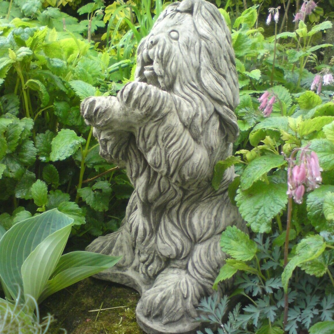STONE GARDEN BEGGING SHIH-TZU DOG STATUE ORNAMENT GIFT – Ferney Heyes ...