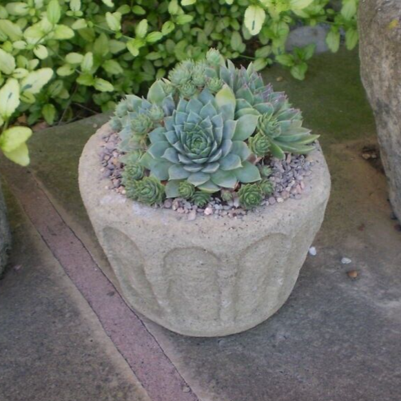 STONE GARDEN PAIR OF SMALL RUSTIC ALPINE POTS SEMPERVIVUM TROUGHS PLAN ...