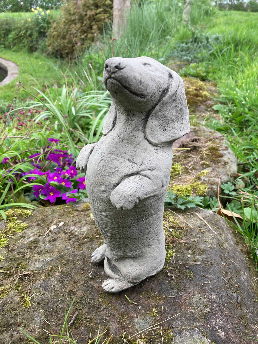 STONE GARDEN BEGGING SMALL DACHSHUND DOG PUPPY STATUE ORNAMENT – Ferney ...